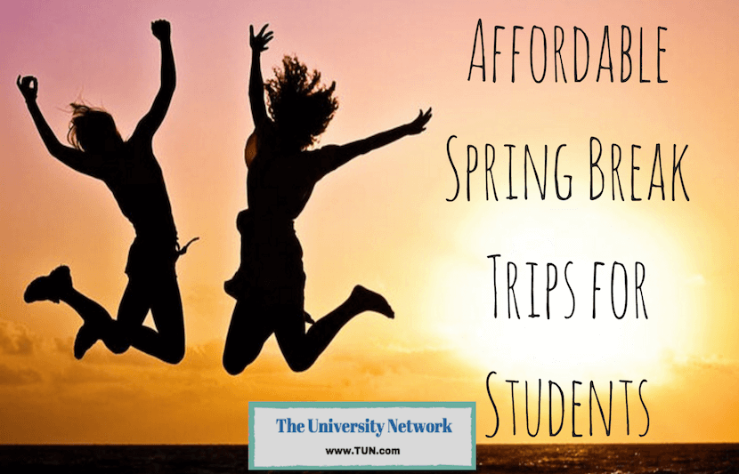 affordable Spring Break | The University Network