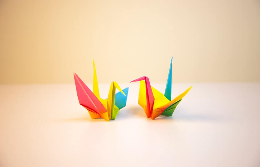 Earwig’s Wings Inspire 3D Origami-Like Structures | The University Network