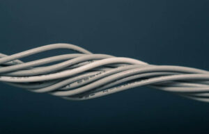 How We Are Wired to Learn From Others | The University Network