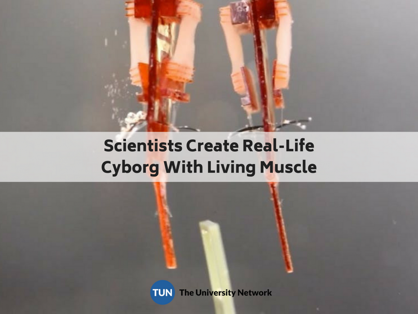 Real-Life Cyborg iPad | The University Network