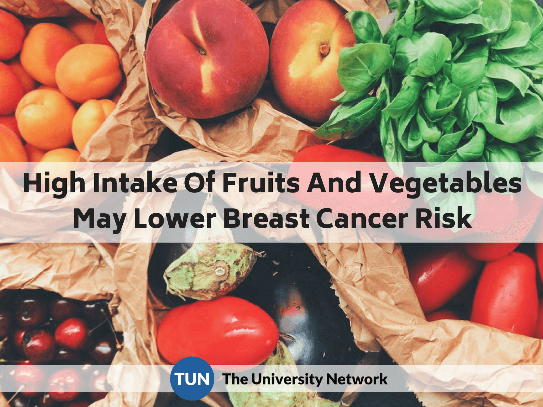 Fruit Cancer iPad | The University Network