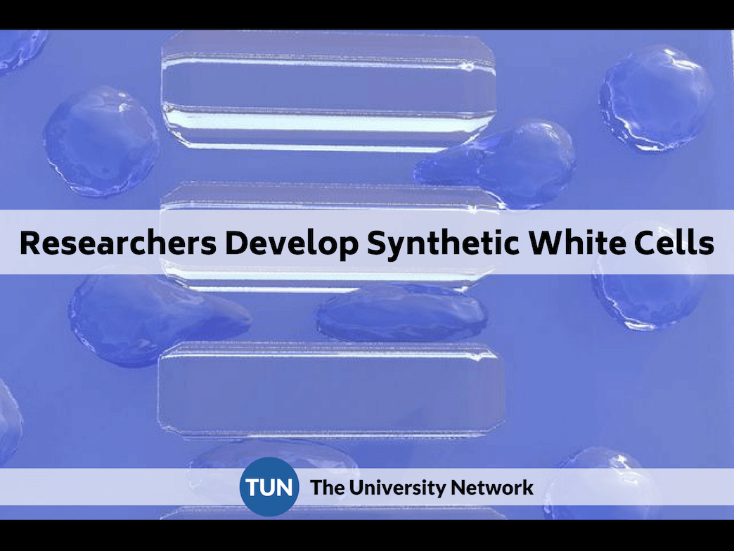 White Cells iPhone | The University Network