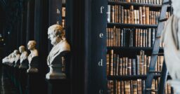 12 Paths You Can Pursue with a History Degree | The University Network