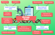 12 Biology Degree Jobs and Their Prospective Salaries | TUN