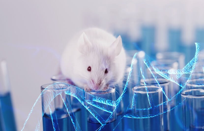 Gene Drive Technology Makes Mouse Offspring Inherit Specific Traits ...