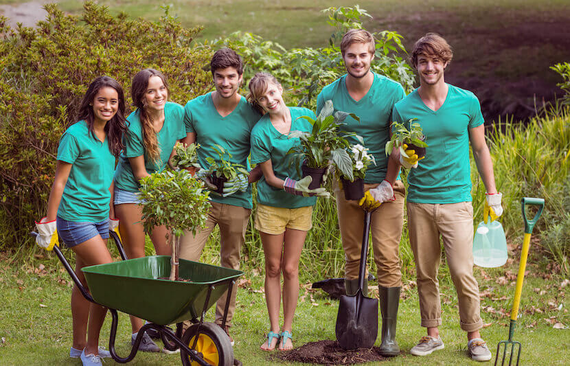 National Service for the Environment – What an Army of Young ...