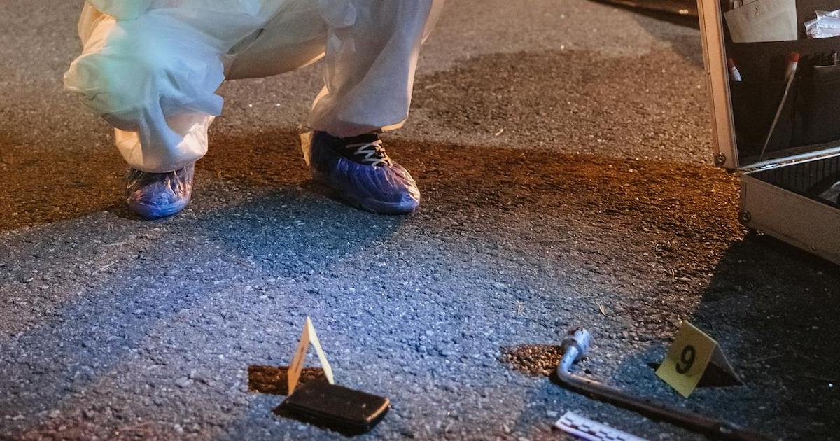 12 Best Criminology Jobs to Consider | The University Network