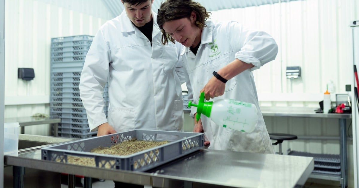 12 Jobs for a Geography Degree | The University Network