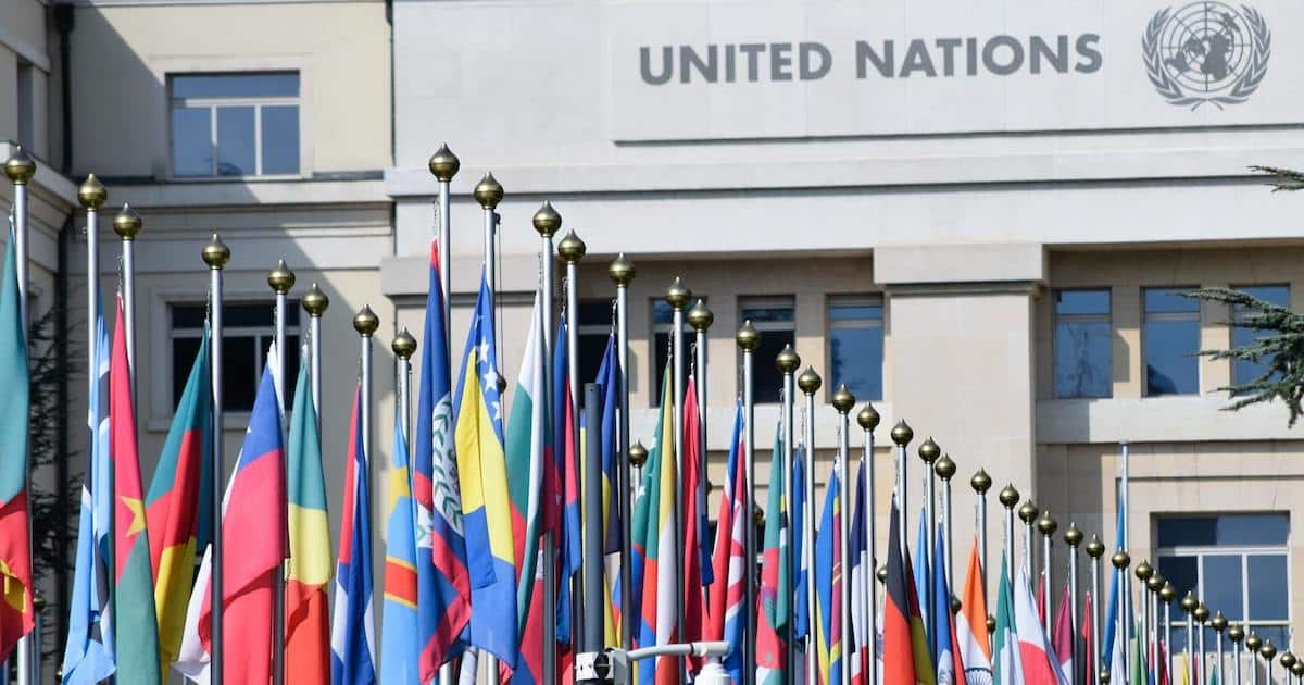 12 International Relations Jobs for Interntional Relations Majors | TUN
