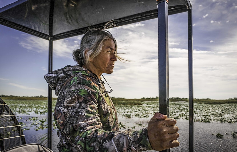 A Virtual Reality Field Trip Through South Florida’s Everglades | The ...