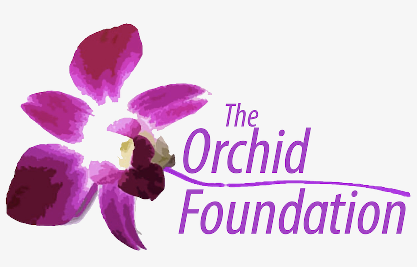 Nichole Galicia’s Orchid Foundation Improving Lives of Underserved ...