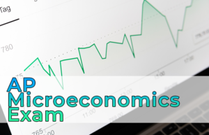 AP Microeconomics Exam 2024 | The University Network