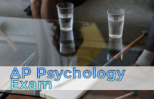 AP Psychology Exam 2024 | The University Network