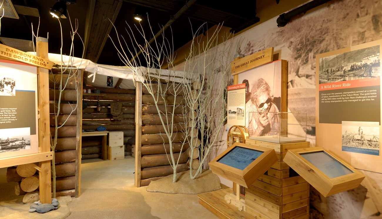 Free Things to Do in Seattle – A Broke College Student’s Guide | TUN