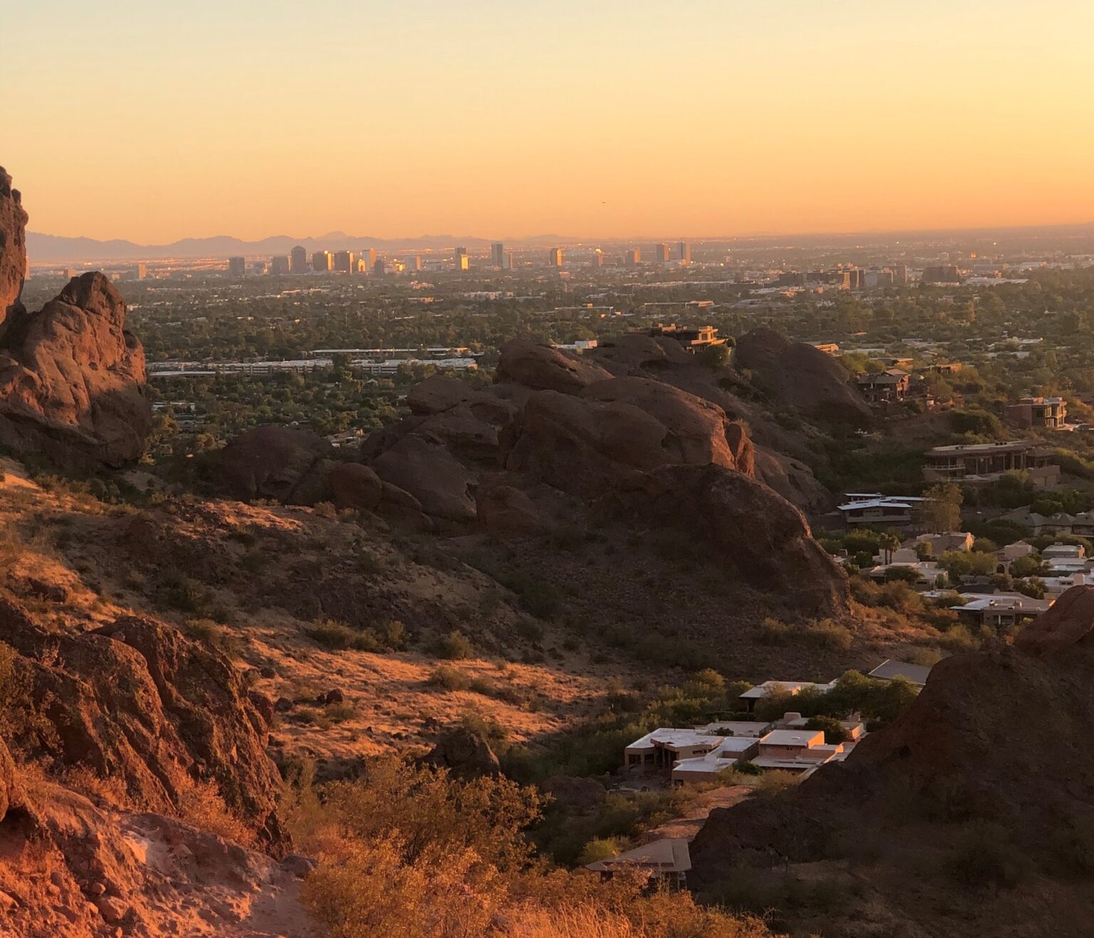 lisa-campbell-r6_My5ZpZXc-unsplash | The University Network