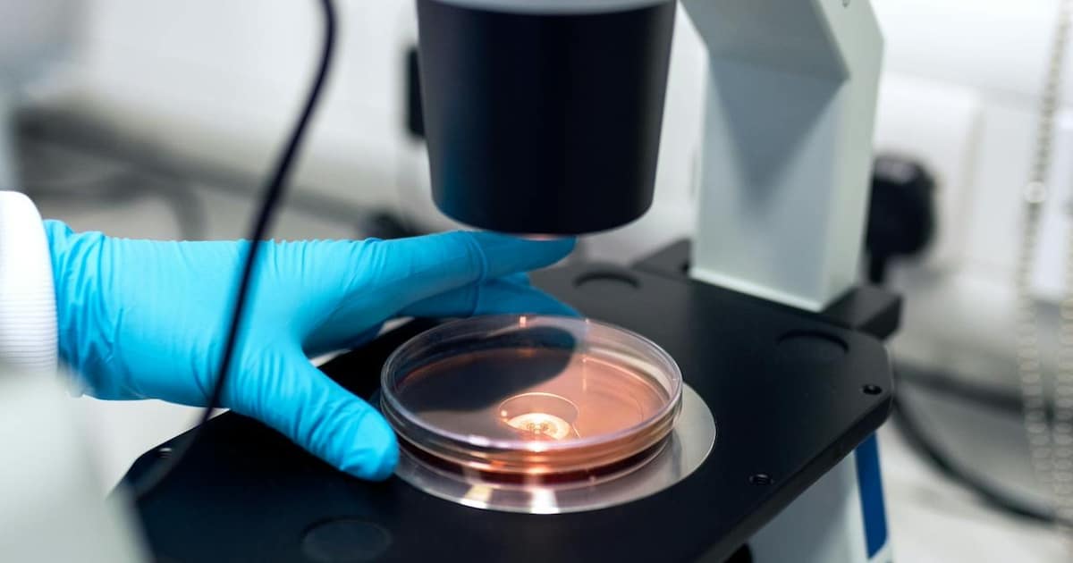 12 Biochemistry Jobs for Biochemistry Majors | The University Network